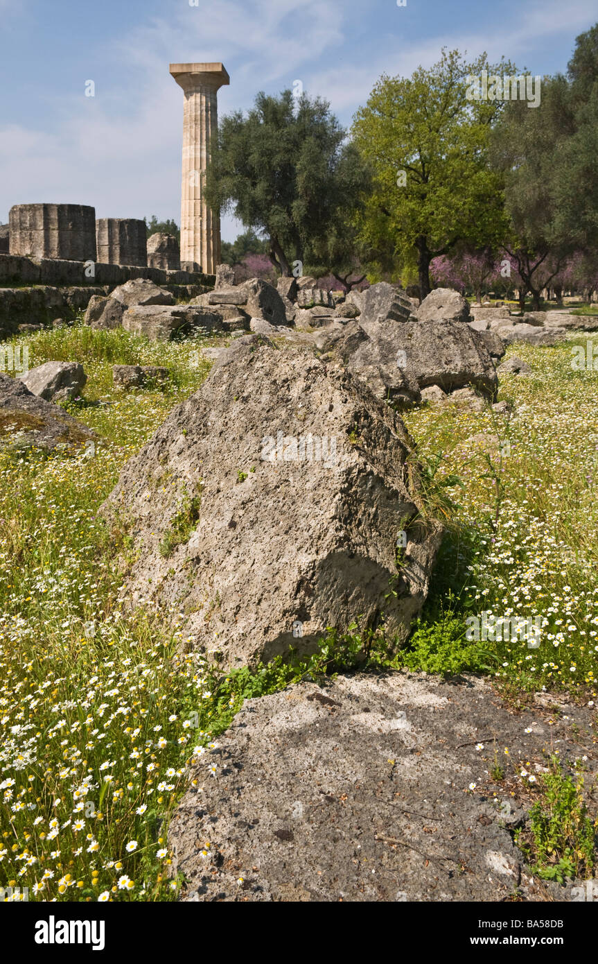Fallen column drums amongst the spring wild flowers at the Temple of ...