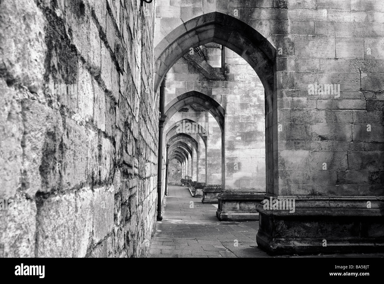 Concave vault hi-res stock photography and images - Alamy