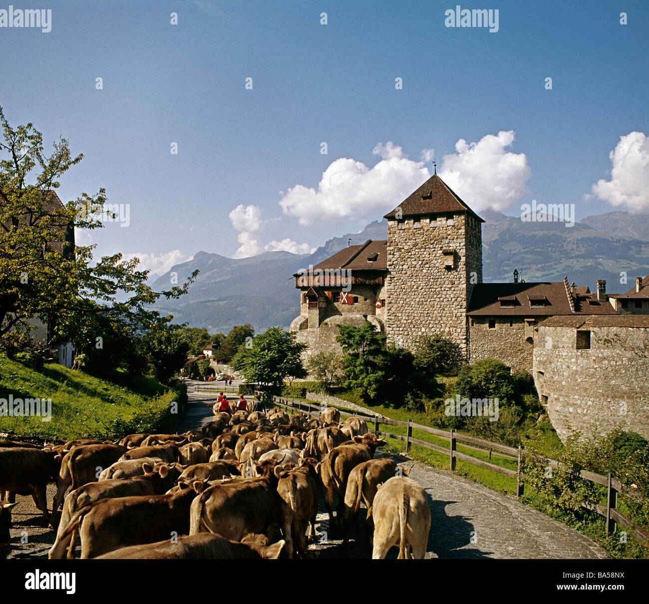 Cattle castle hi-res stock photography and images - Alamy