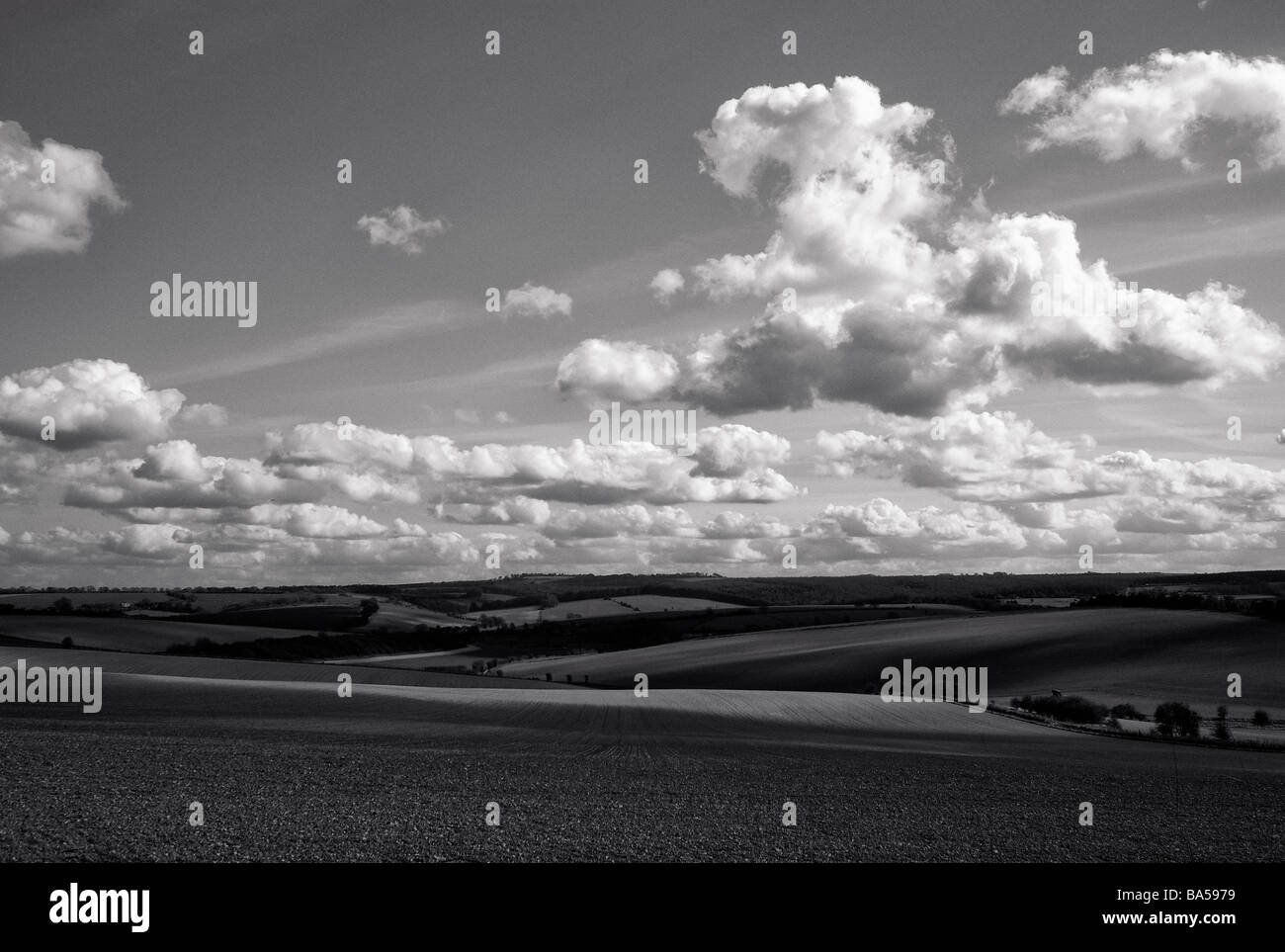 Wessex Downland Landscape Stock Photo - Alamy