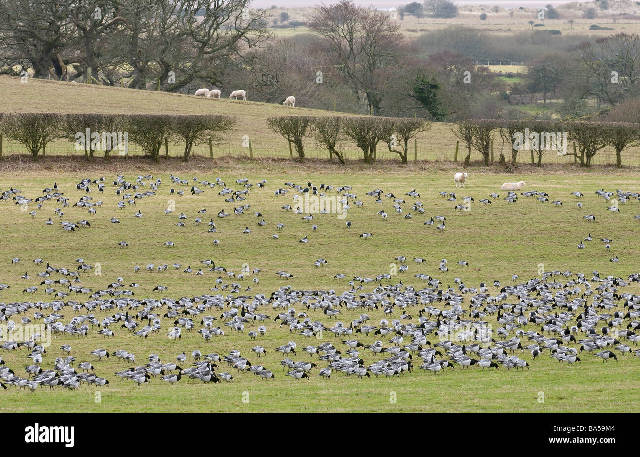 Dumfries shire hi-res stock photography and images - Alamy