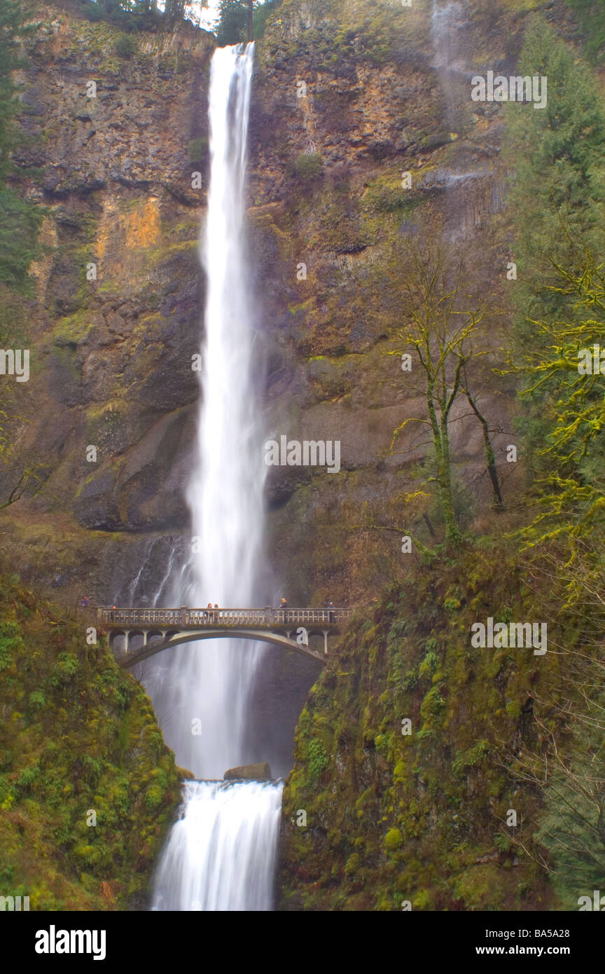The water of Multnomah Falls Columbia River Gorge National Scenic Area ...