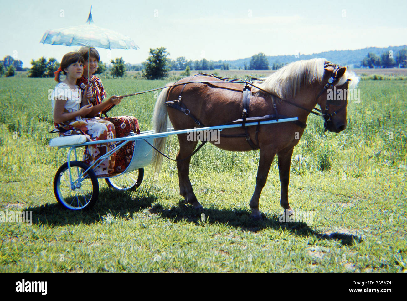 Child Horse Buggy High Resolution Stock Photography and Images - Alamy