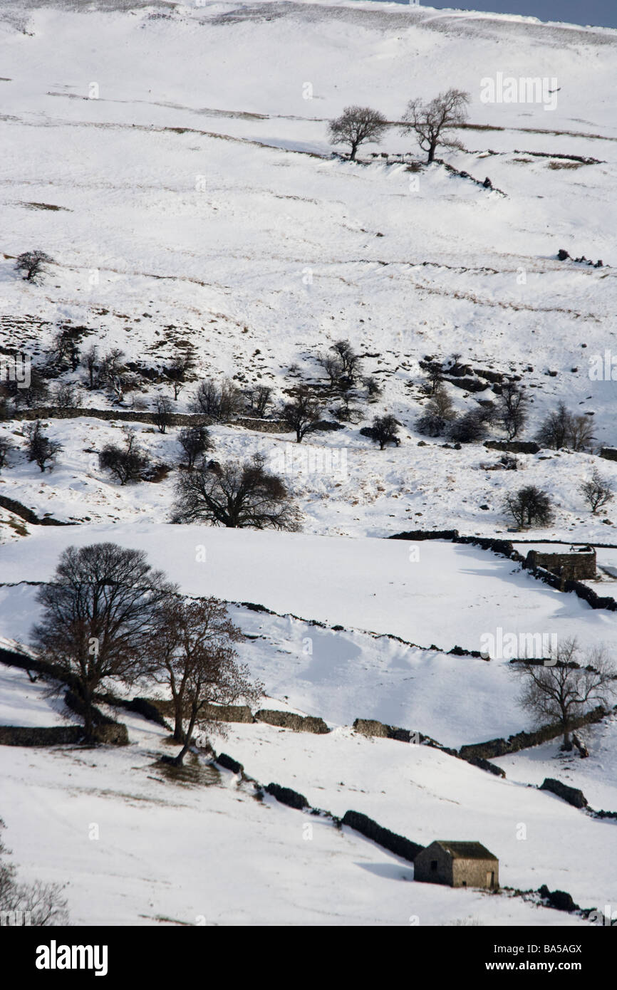 Snow covered fields in Swaledale North Yorkshire England UK Stock Photo ...