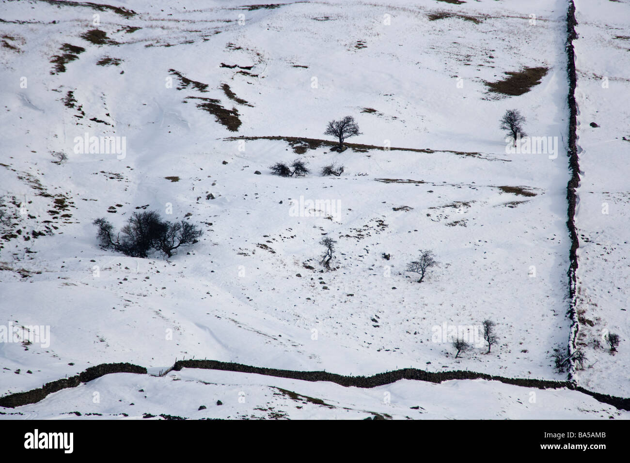 Snow covered fields in Swaledale North Yorkshire England UK Stock Photo ...