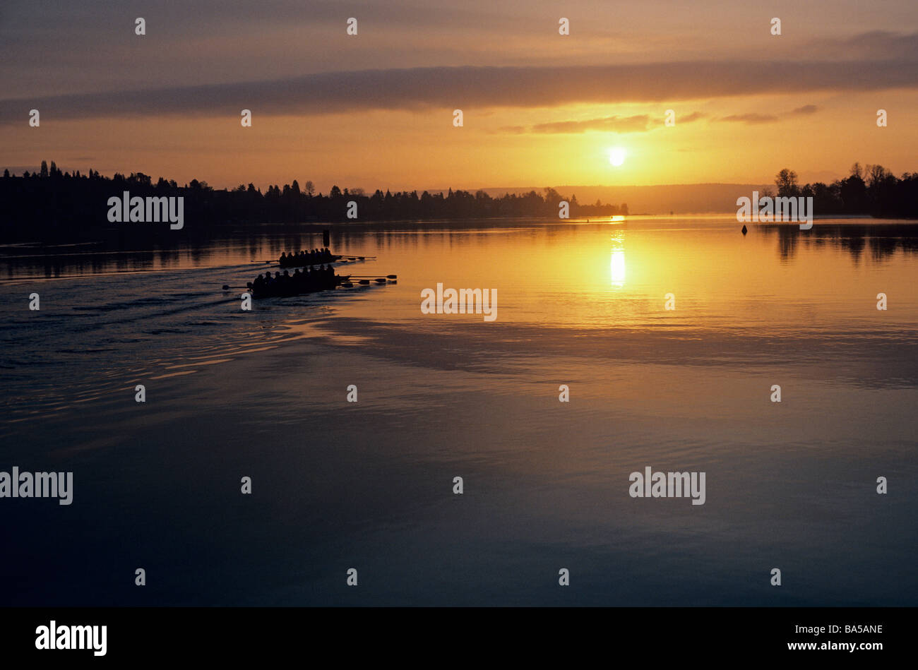 Sunrise on the Montlake Cut with eight man crew rowing on calm waters ...