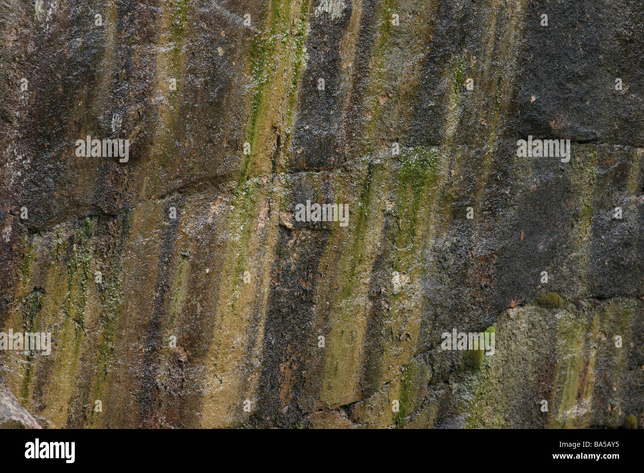 Slime covered rock Stock Photo - Alamy