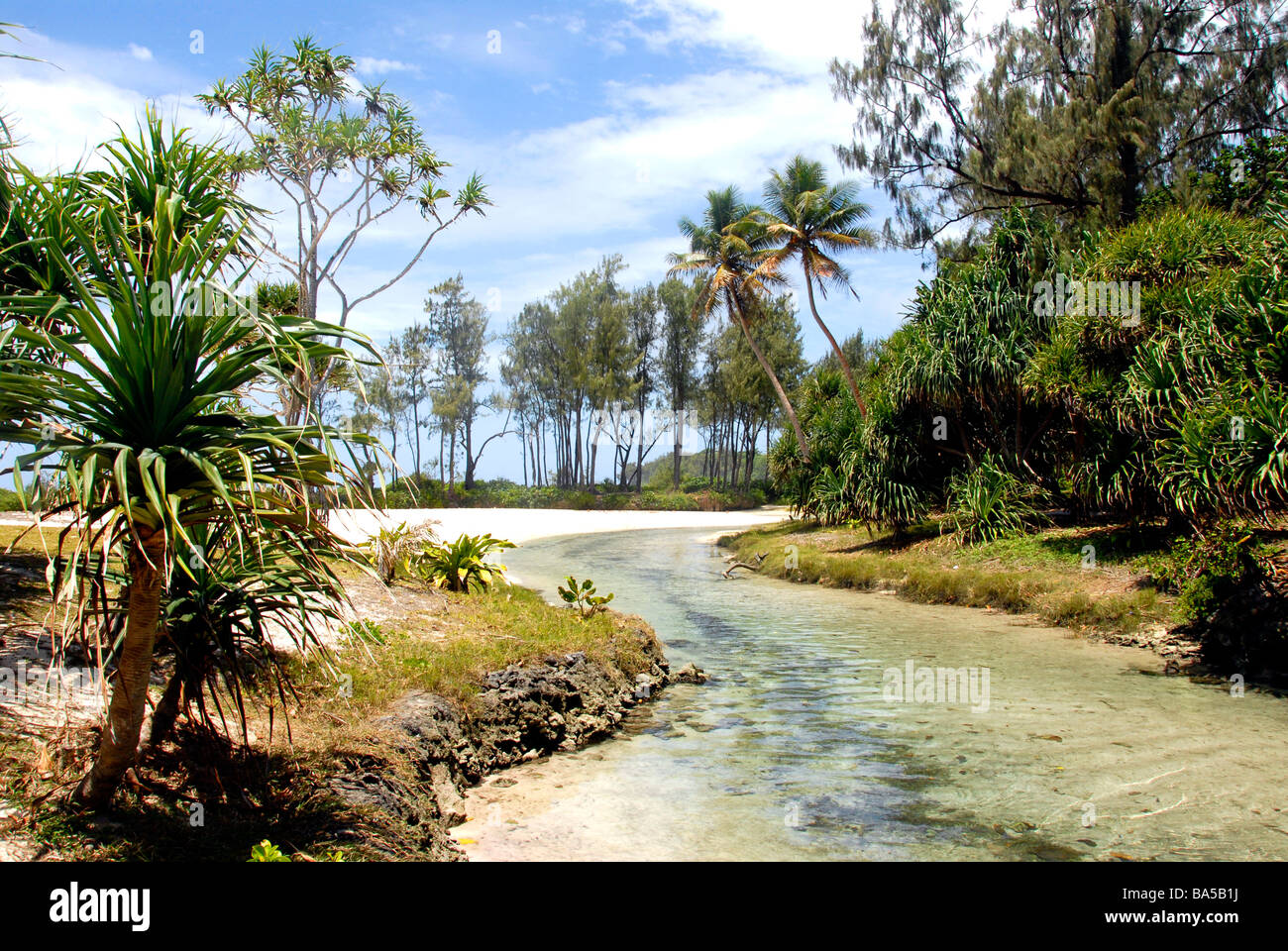 beach, Efate island, Vanuatu Stock Photo - Alamy