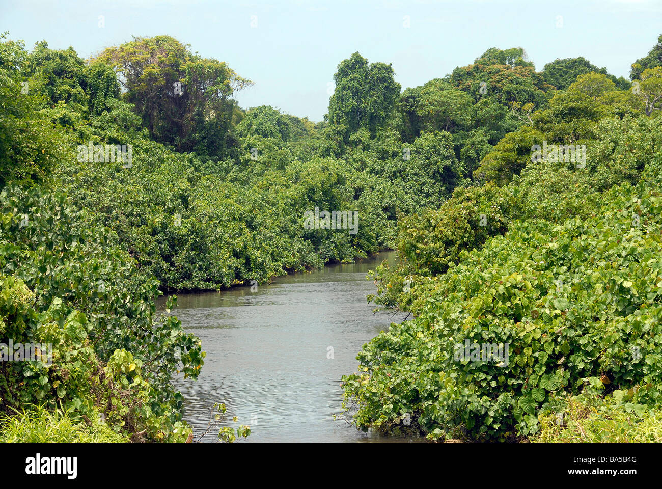 river, Efate island, Vanuatu Stock Photo - Alamy