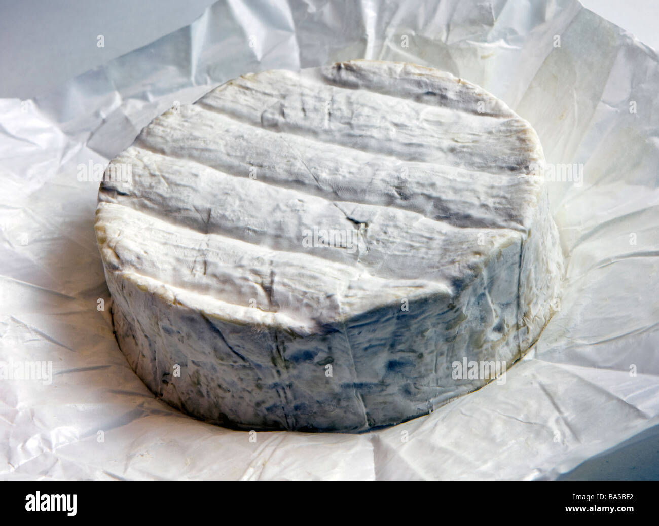 A camember pie is seen in its wrapper Stock Photo - Alamy