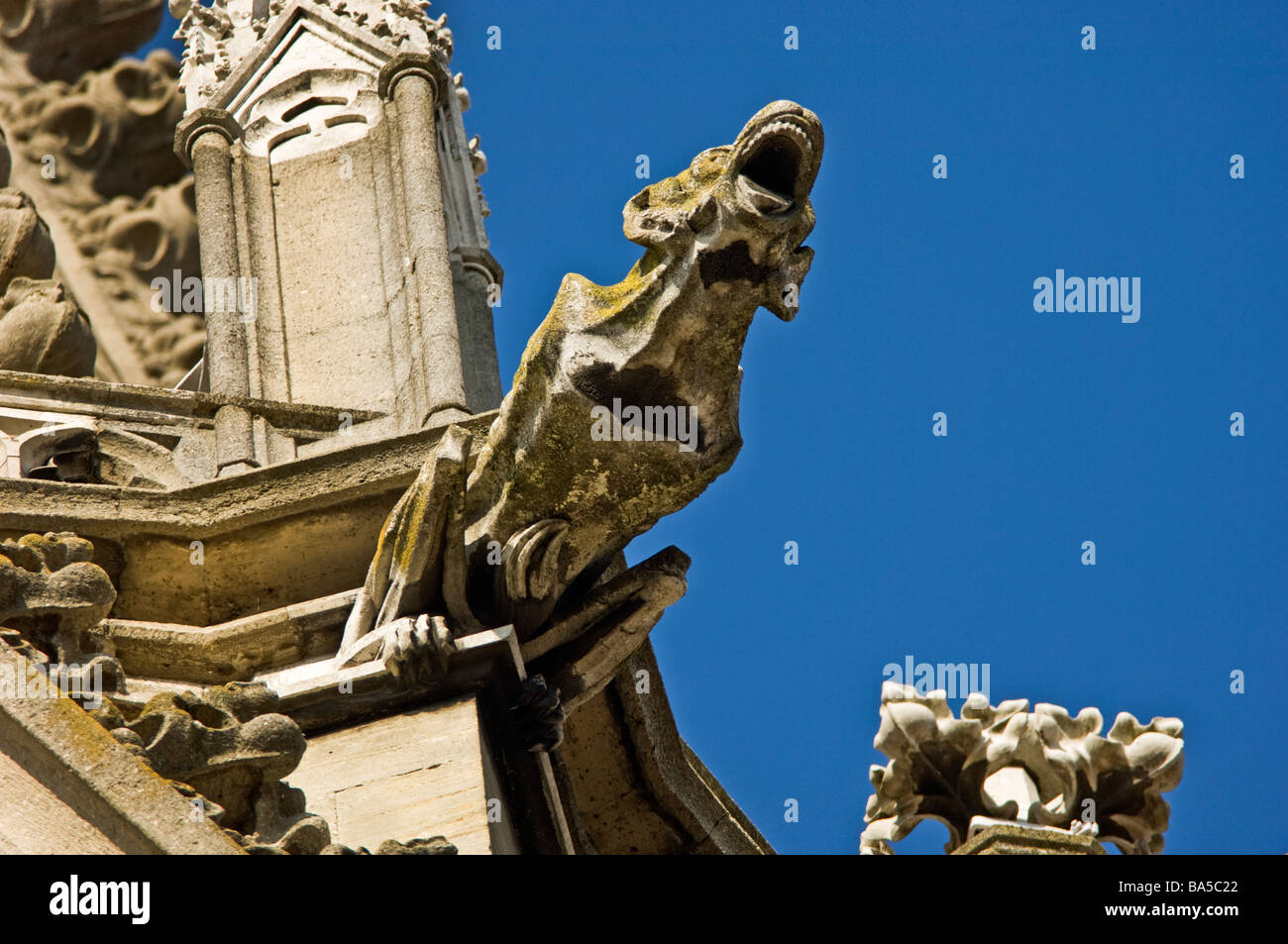 Gargoyle pig hi-res stock photography and images - Alamy