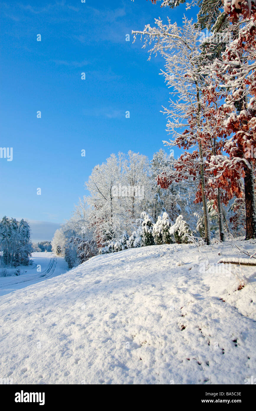 March winter hi-res stock photography and images - Alamy