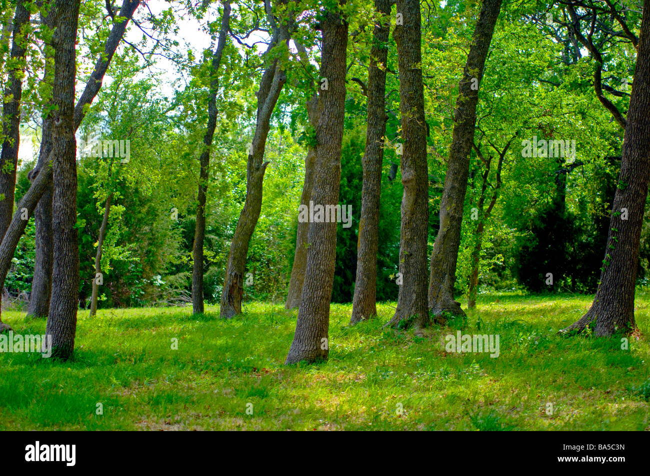 Spring constant of a spring hi-res stock photography and images - Alamy