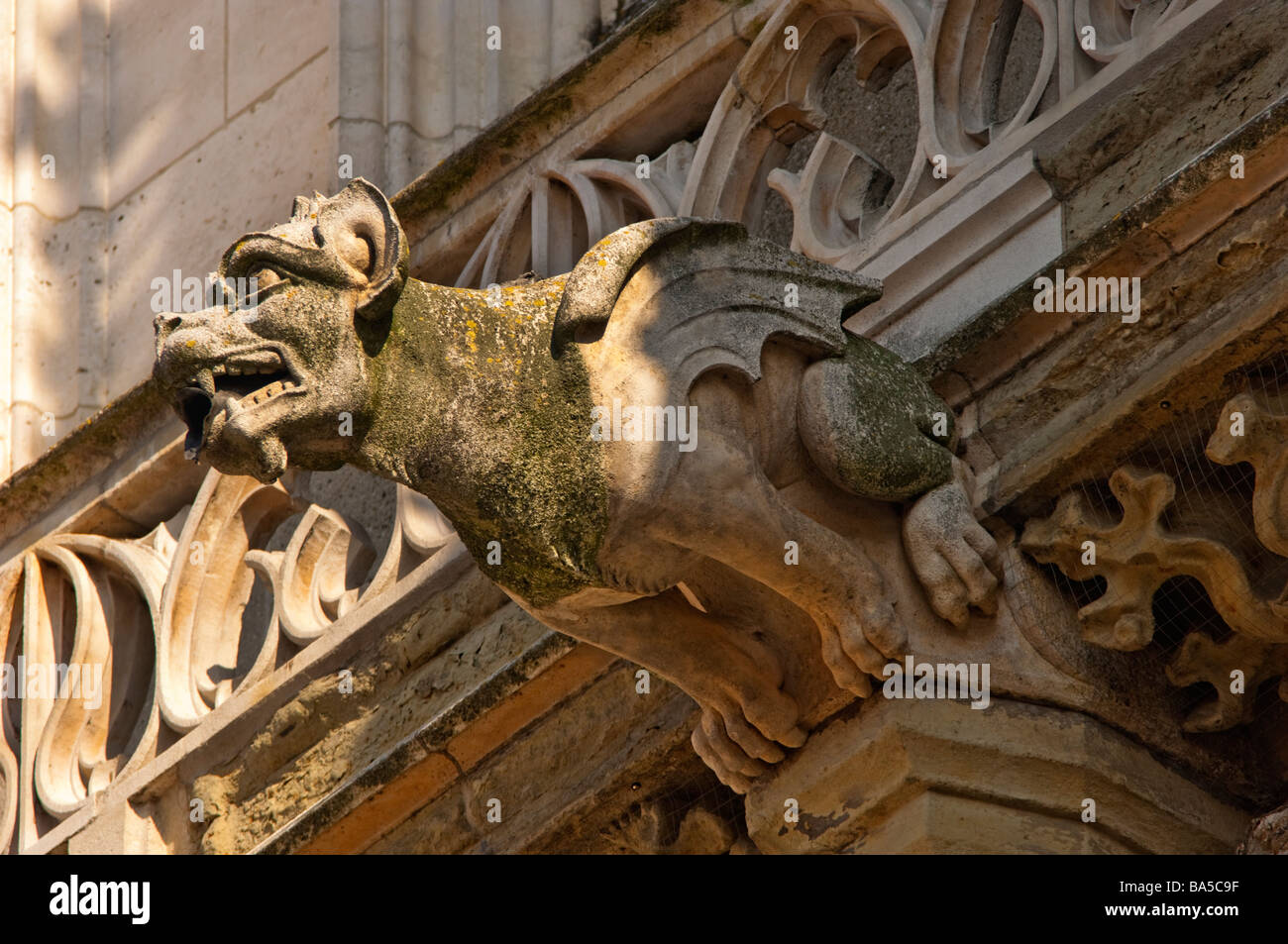 chimere Gargoyle Dom dome Regensburg gothic CATHEDRAL St Peter Roman ...