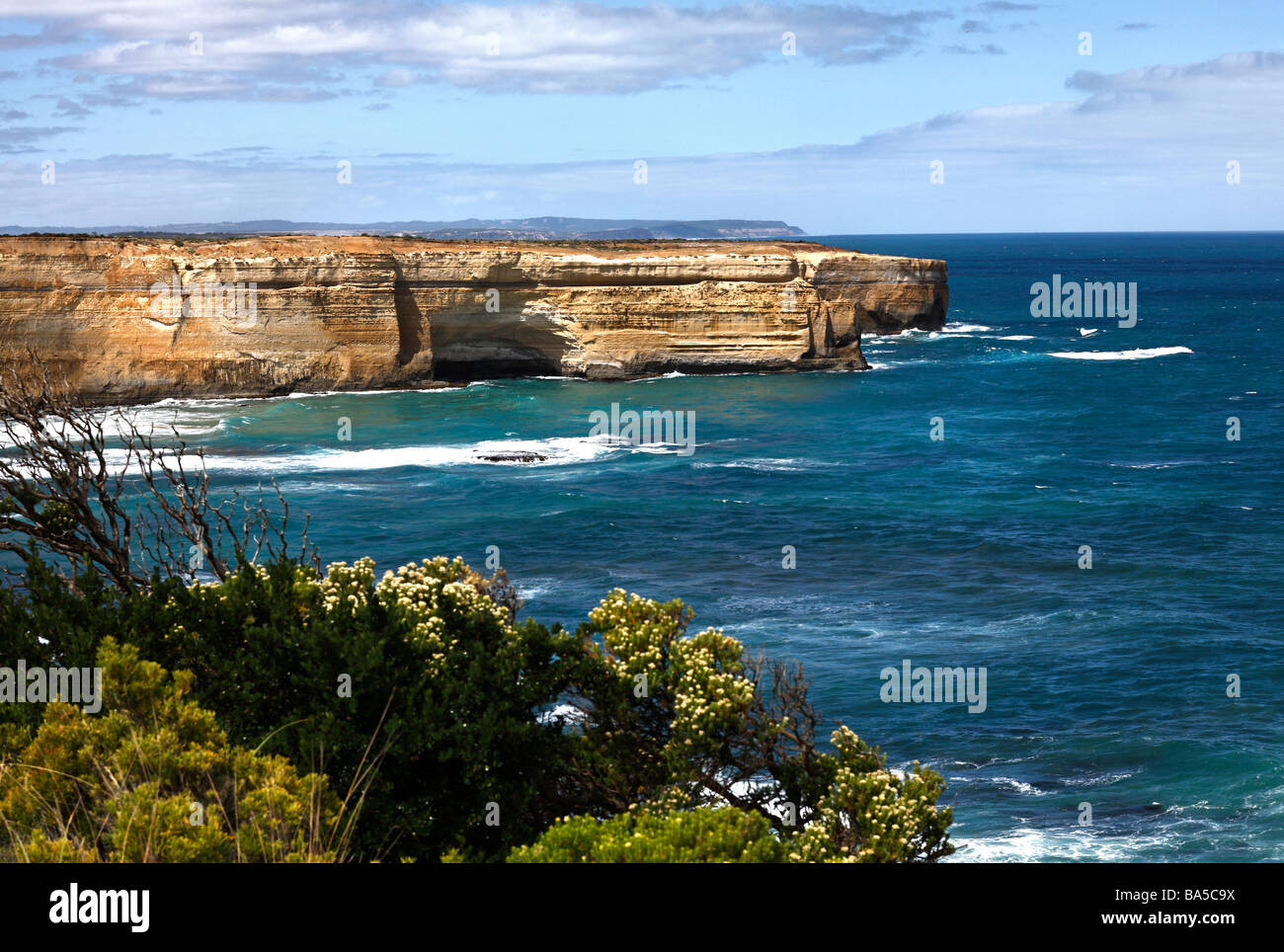 Vegetation and Coastal Cliffs Great Ocean Road Victoria Australia Stock ...