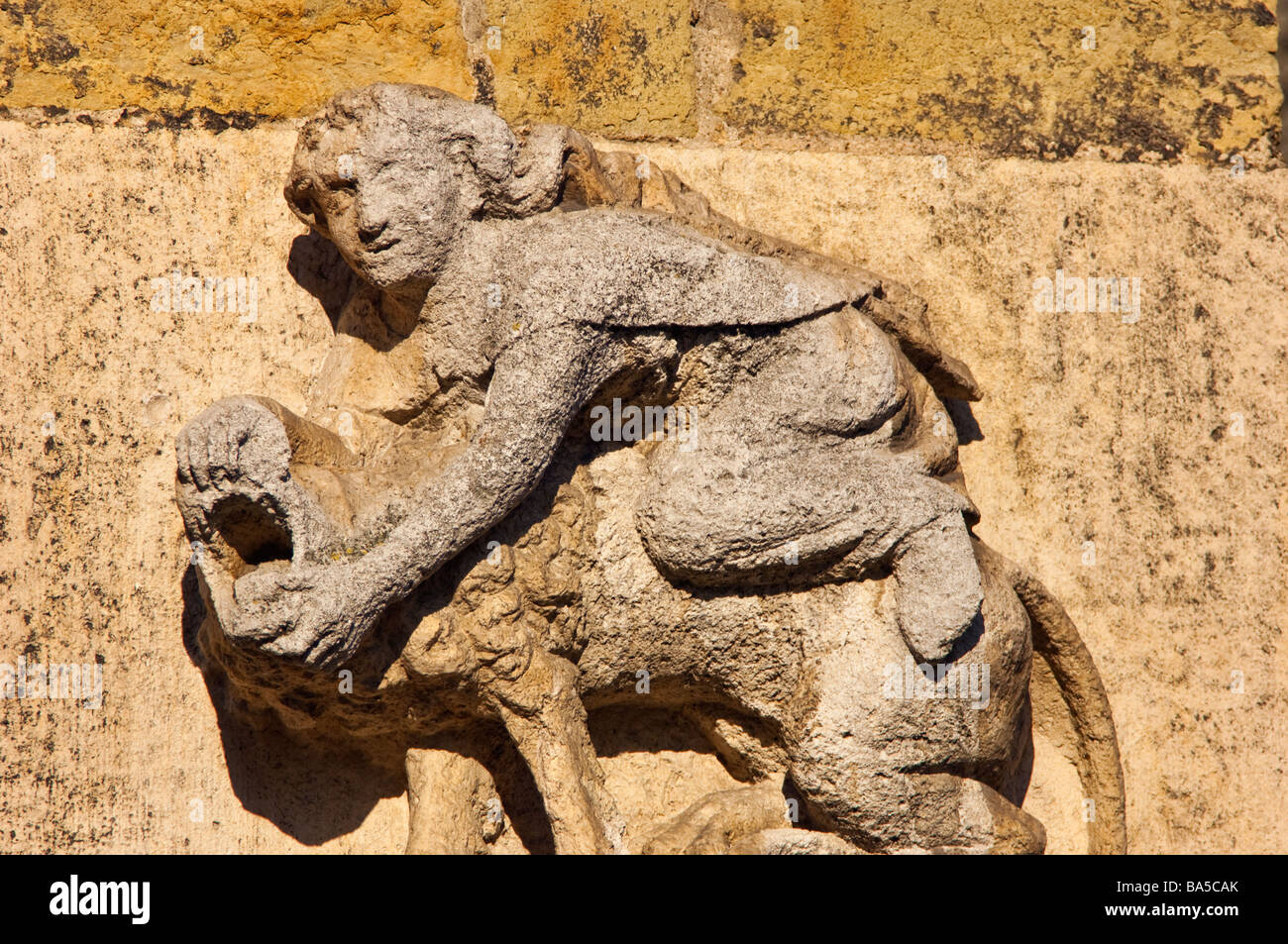 Gargoyle pig hi-res stock photography and images - Alamy