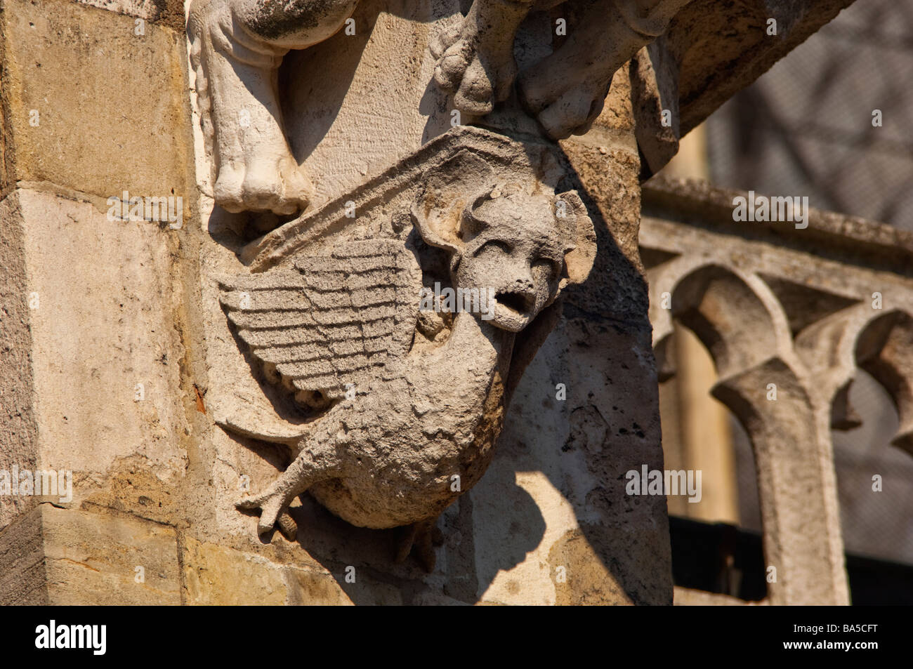 Gargoyle pig hi-res stock photography and images - Alamy