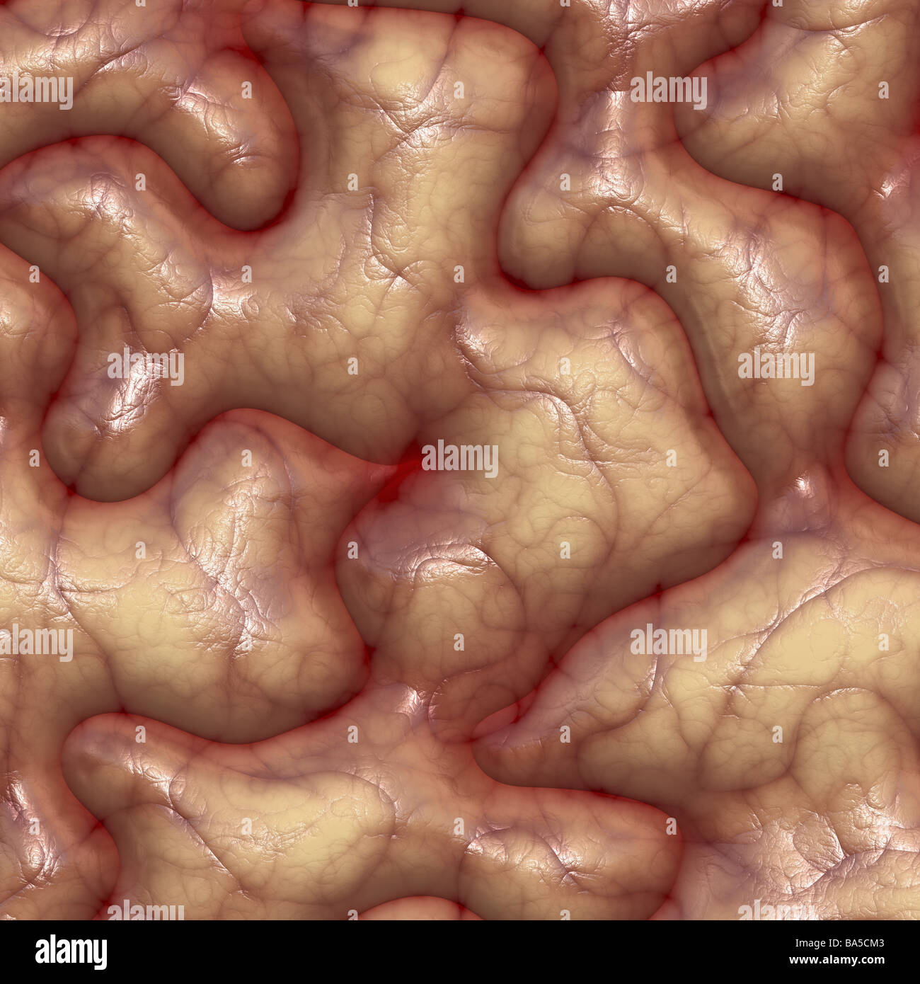 Brain texture with veins and wrinkles rendered illustration Stock Photo ...