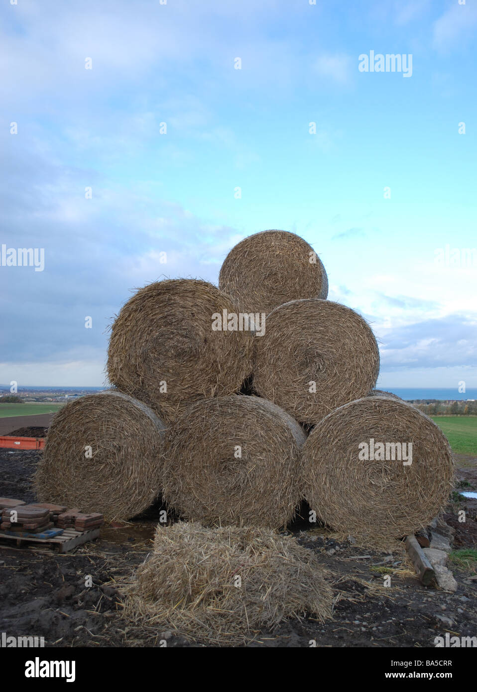 large straw bales set against the sky Stock Photo - Alamy