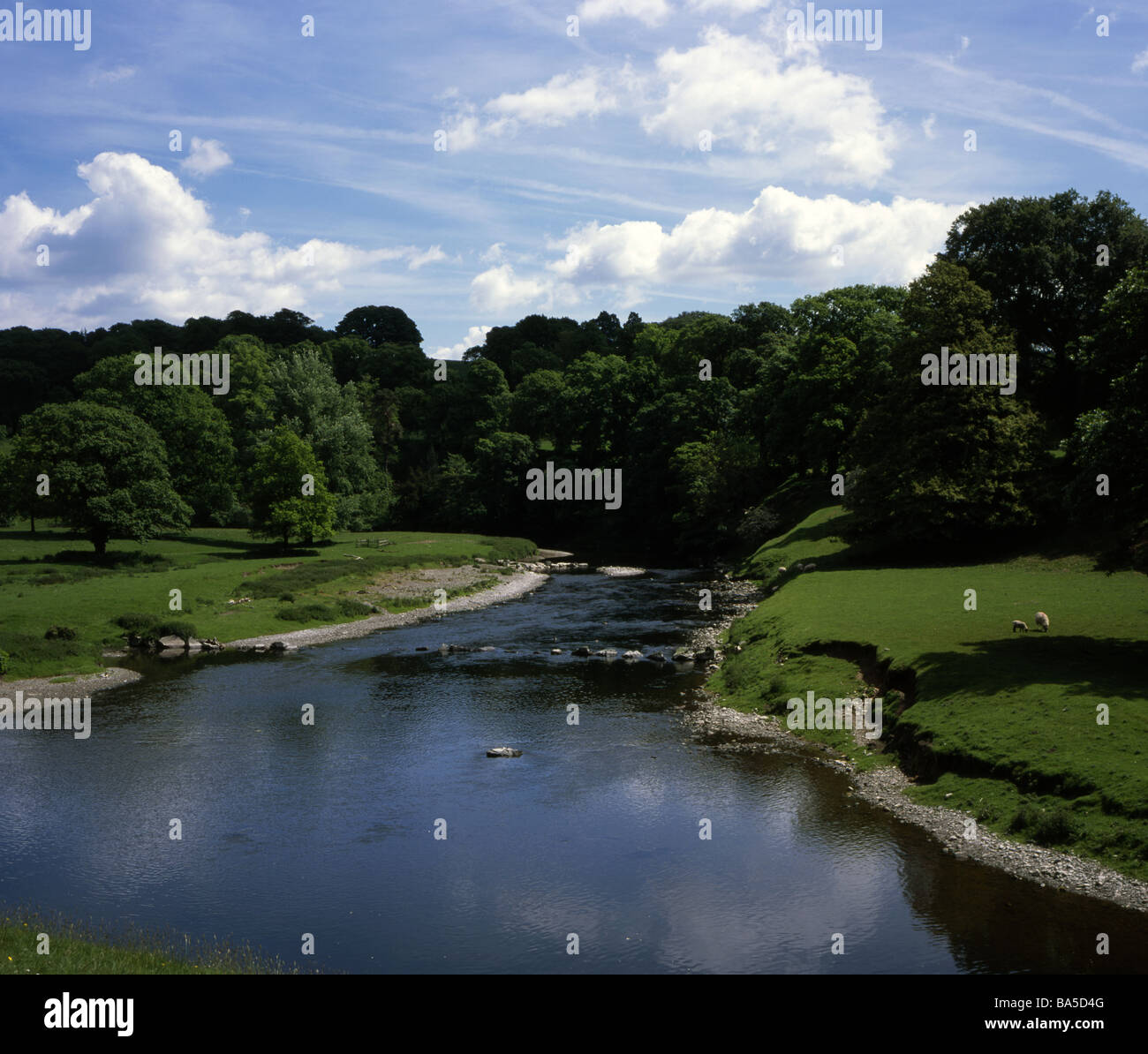 The River Kent near Levens Hall, Lancashire England Stock Photo - Alamy