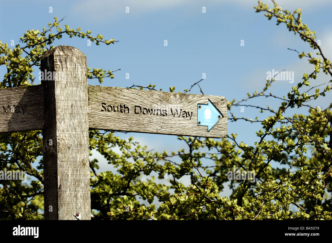 A sign for the South Downs Way at Ditchling Beacon which is now part of ...