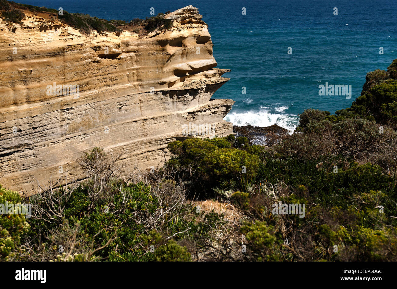 Vegetation and Coastal Cliffs Great Ocean Road Victoria Australia Stock ...