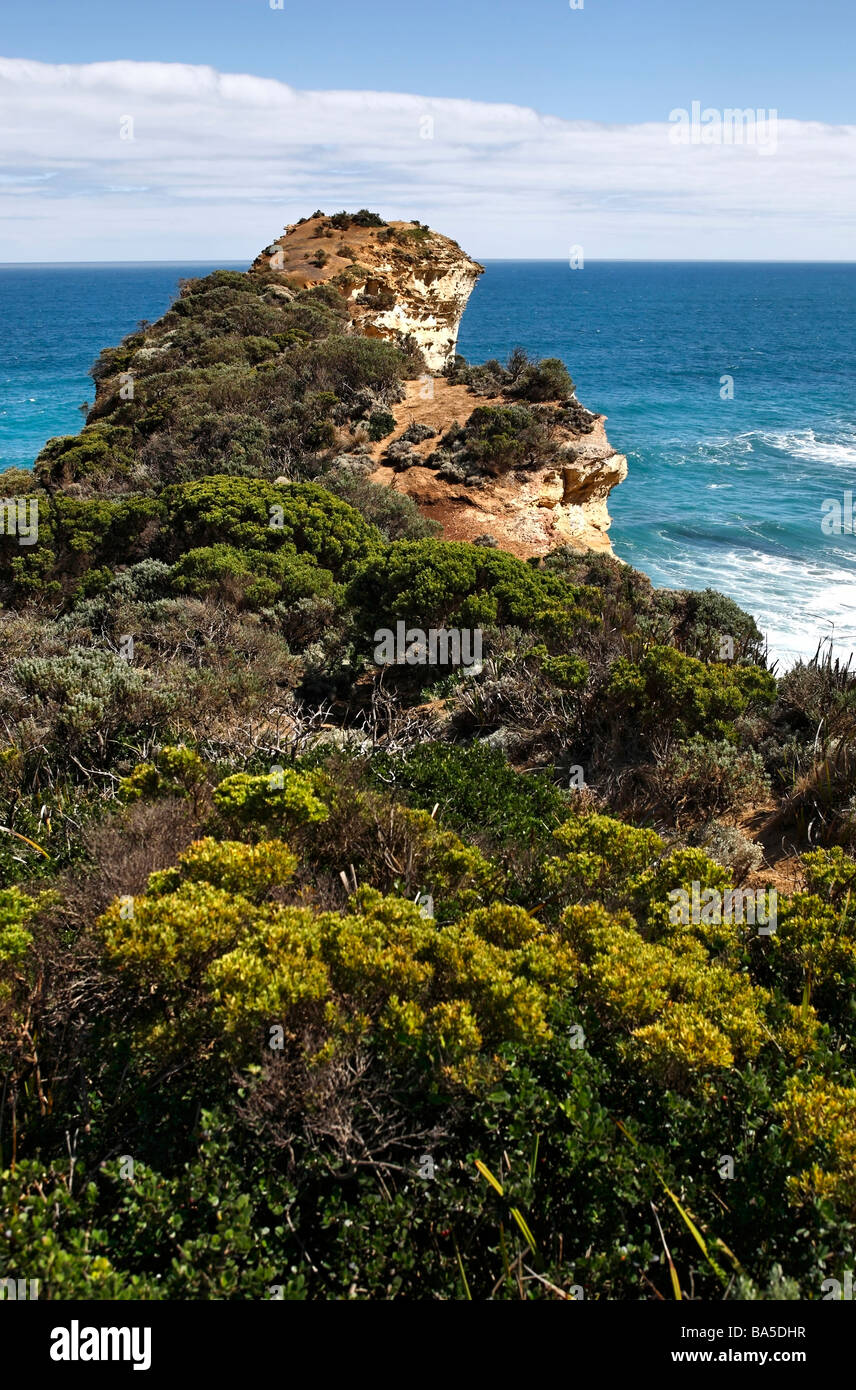 Vegetation and Coastal Cliffs Great Ocean Road Victoria Australia Stock ...