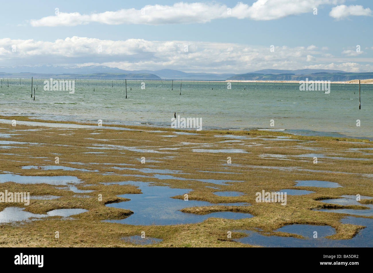 Culbin sands rspb hi-res stock photography and images - Alamy