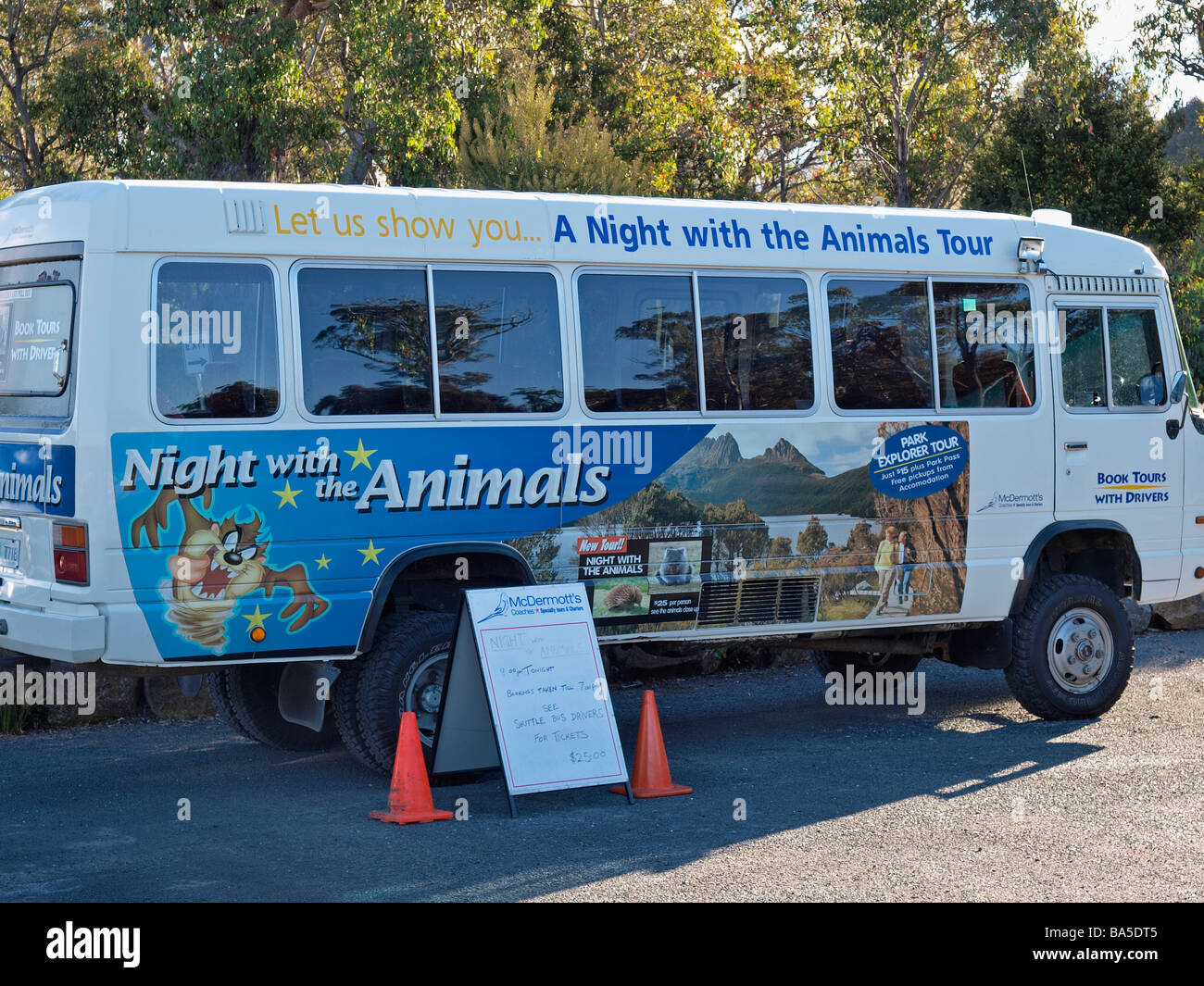 A NIGHT WITH THE ANIMALS TOUR BUS, CRADLE MOUNTAIN LAKE ST CLAIR ...