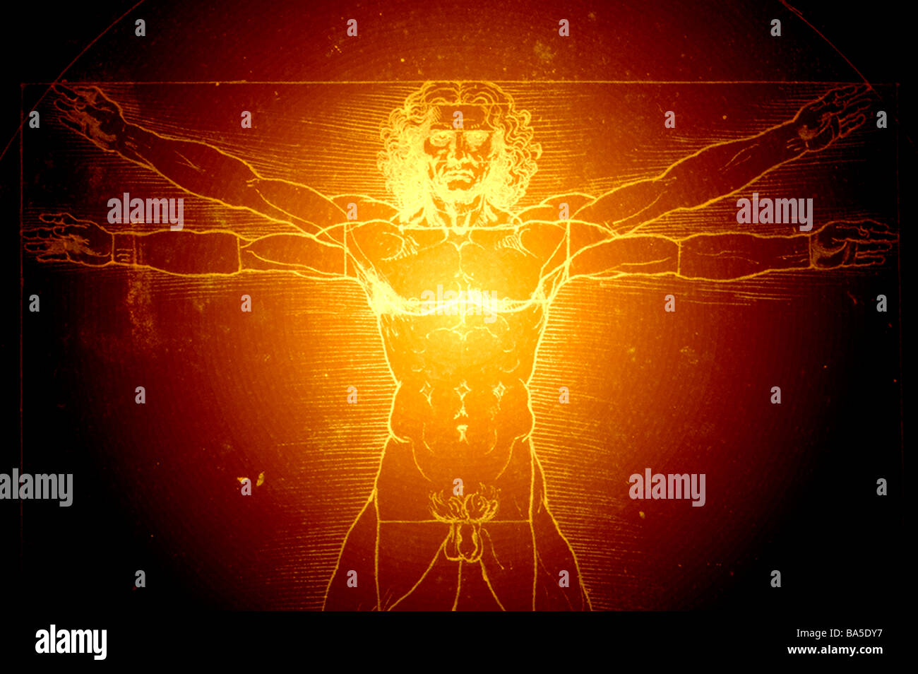 Vitruvian Man by Leonardo da Vinci computer enhanced Stock Photo - Alamy