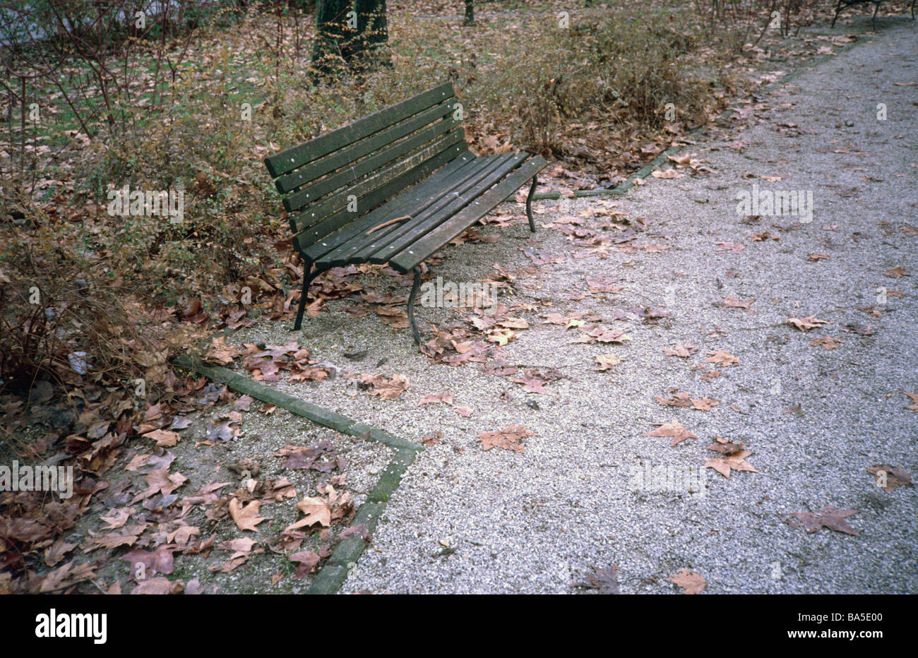 One bench in the park Stock Photo - Alamy