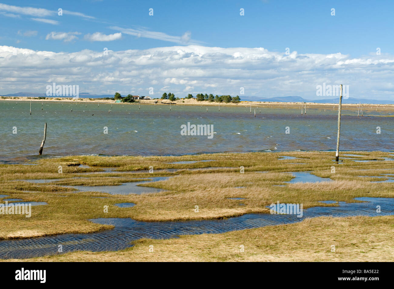 Culbin forest cycle hi-res stock photography and images - Alamy