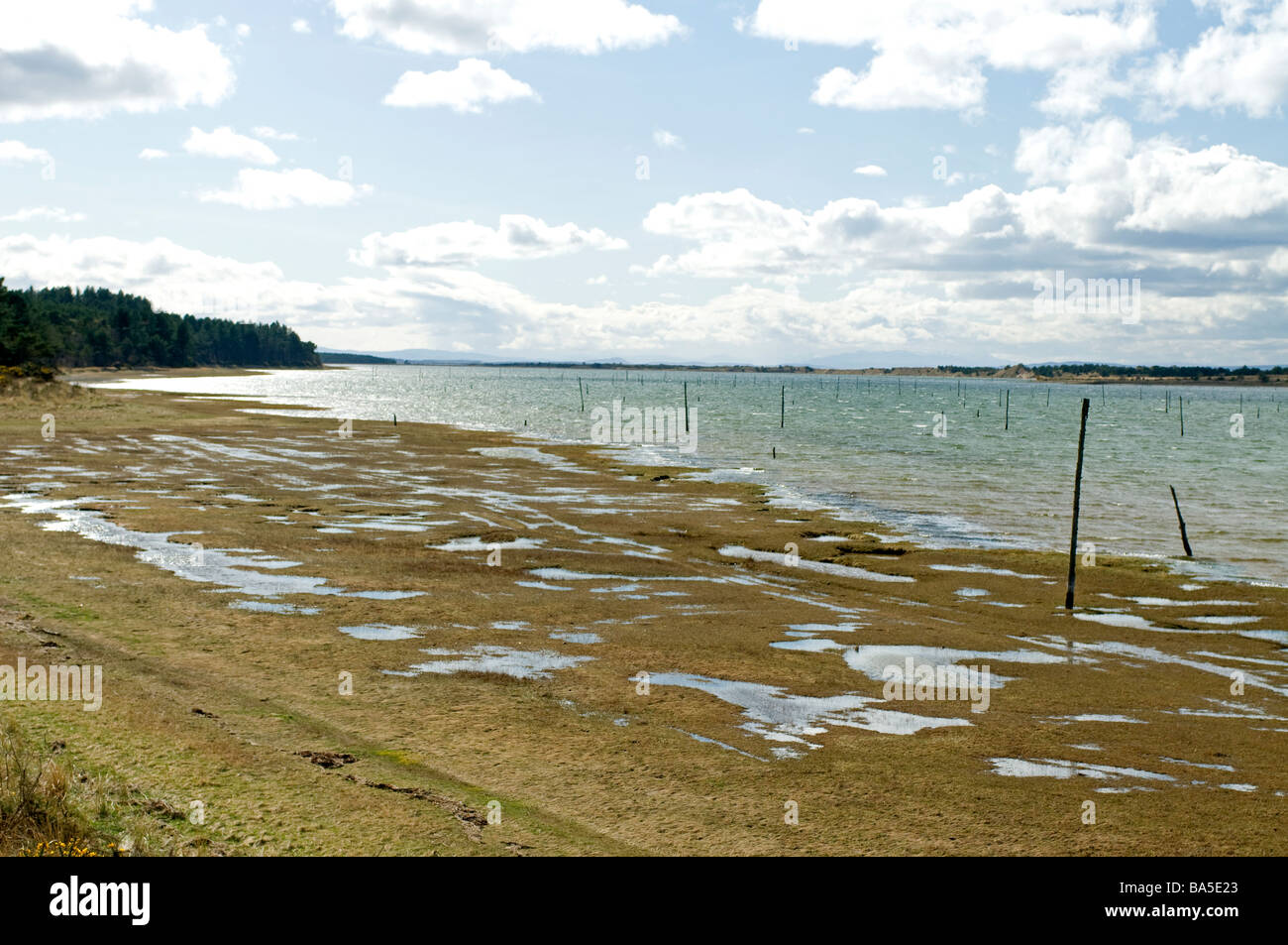 Culbin forest cycle hi-res stock photography and images - Alamy