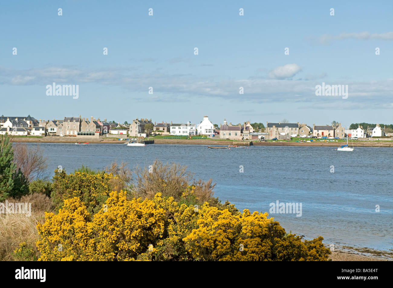 Culbin forest cycle hi-res stock photography and images - Alamy
