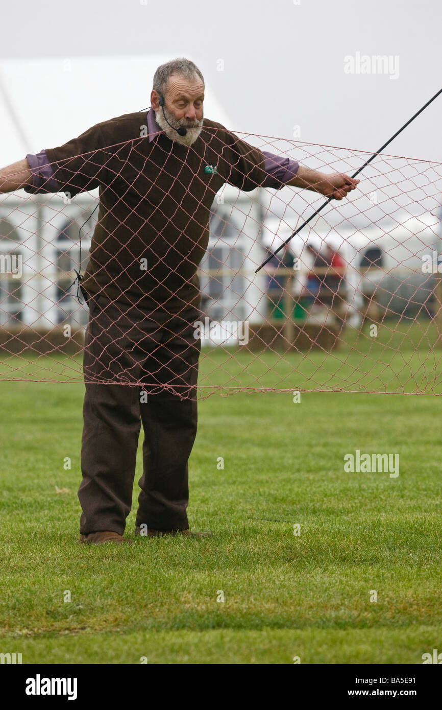 Brinded High Resolution Stock Photography and Images - Alamy