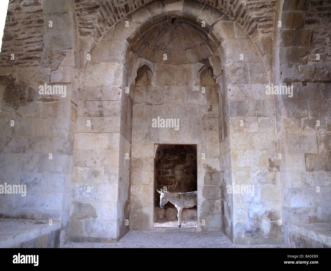 Qalat Al Saladin Castle SYRIA Castillo Qalat Al Saladino SIRIA donkey ...