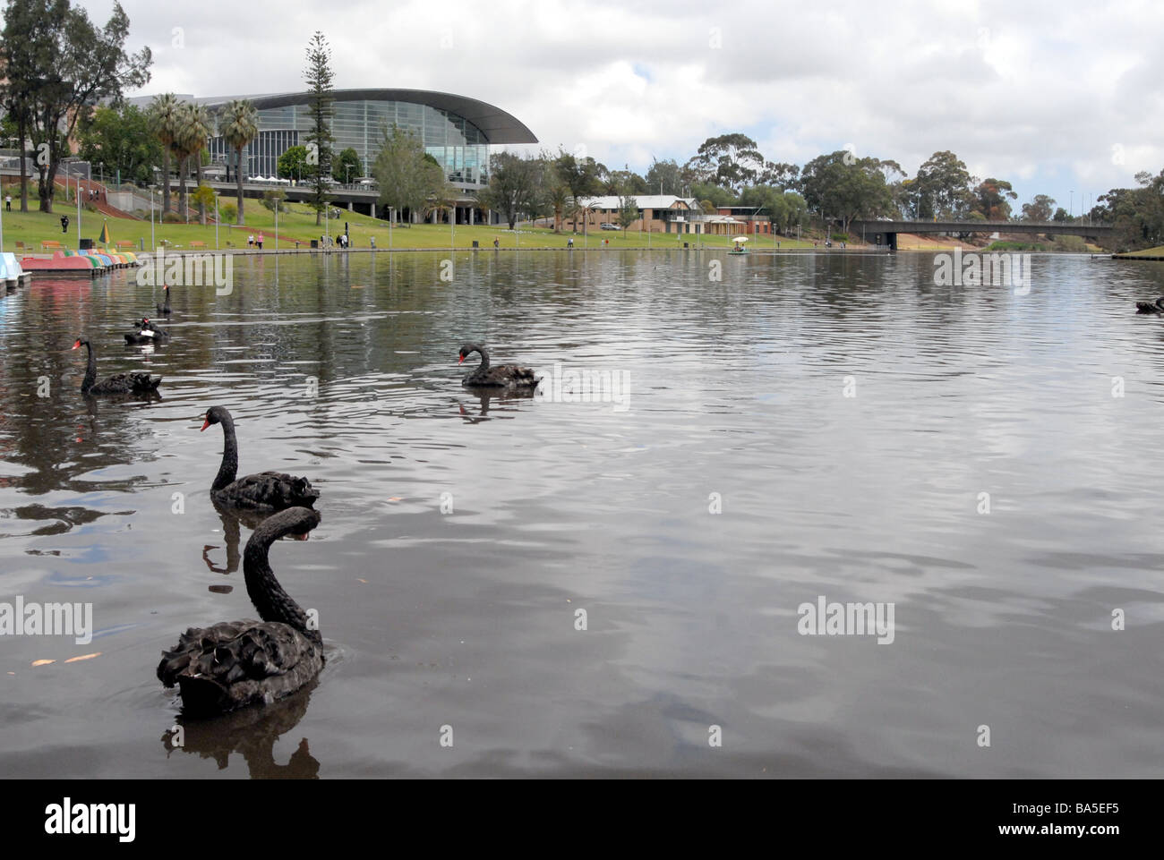 Lake torrens south australia hi-res stock photography and images - Alamy