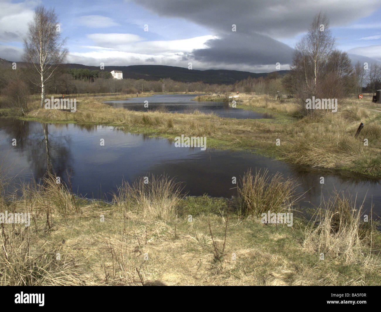 Fish ponds hi-res stock photography and images - Alamy
