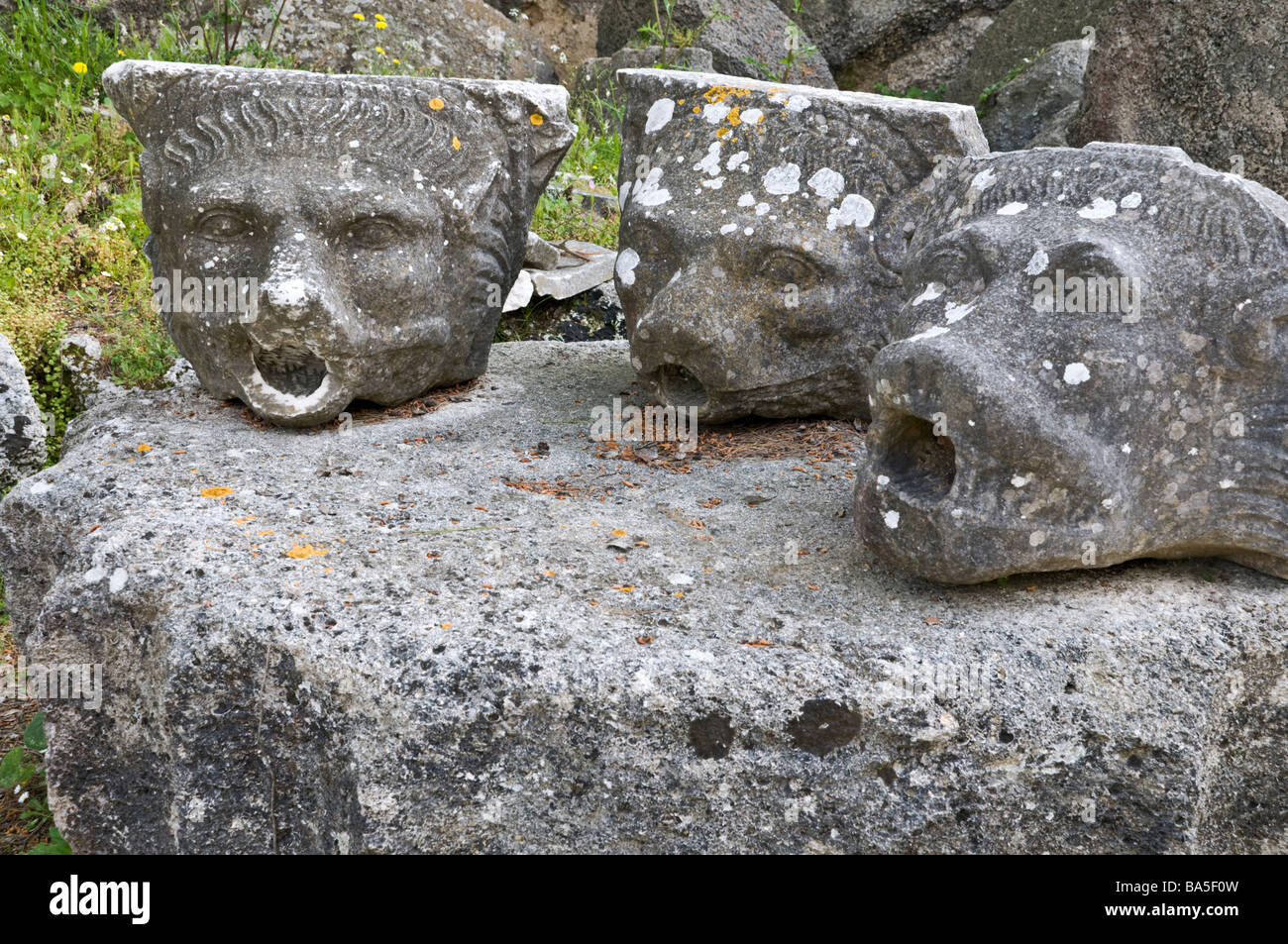 Ancient greece animal hi-res stock photography and images - Alamy