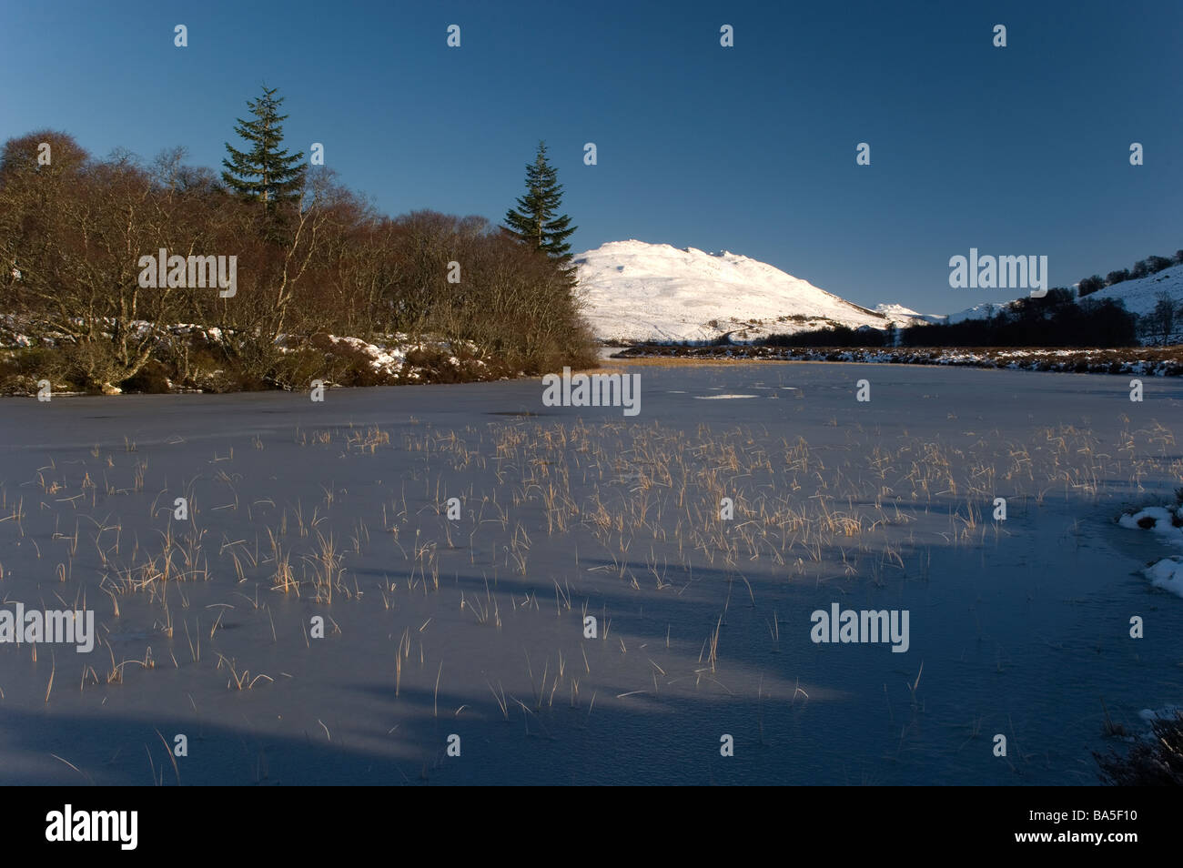 Loch Tarff Glendoebeg Fort Augustus Scotland Stock Photo - Alamy