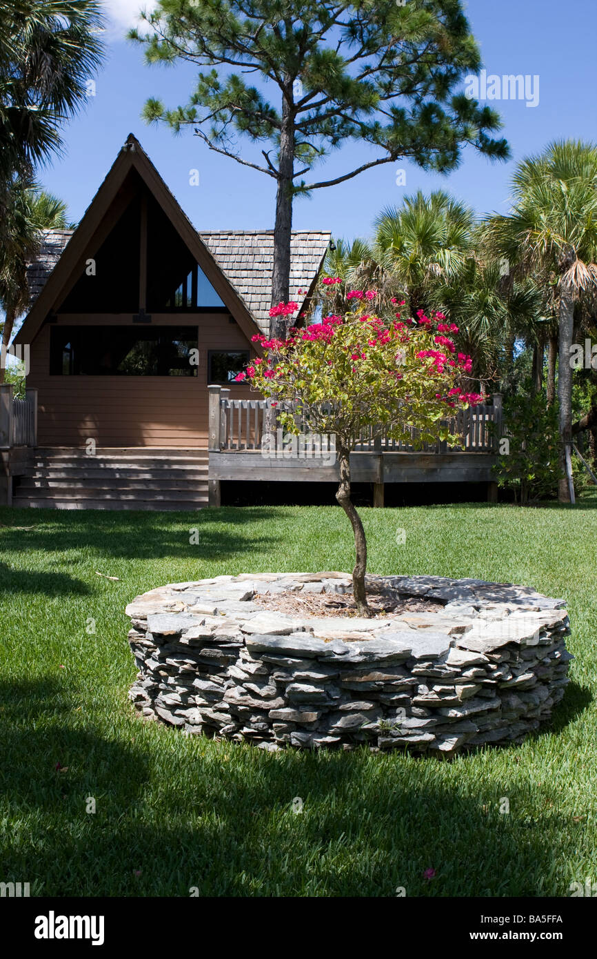 Flowering Tree in Stone Well in Front of A Frame Cabin Stock Photo - Alamy