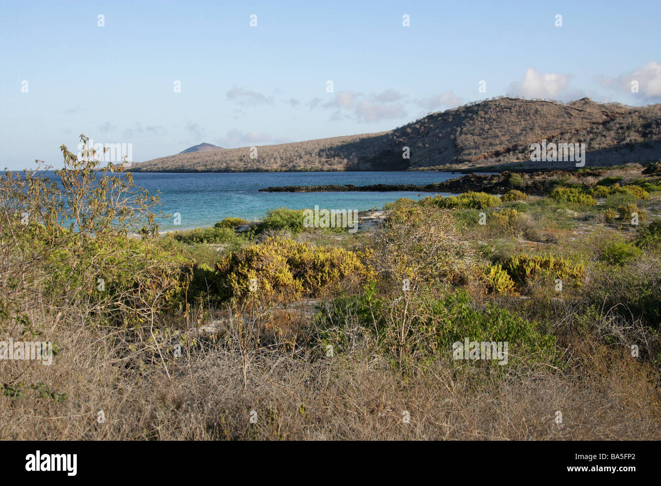 Floreana island beach hi-res stock photography and images - Alamy