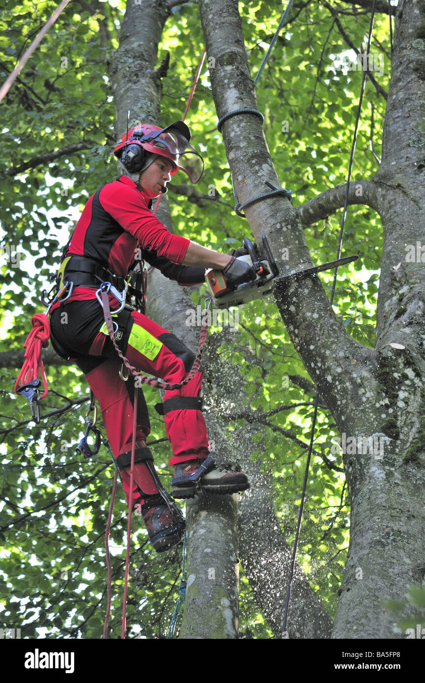 Forester harness safety equipment hi-res stock photography and images ...