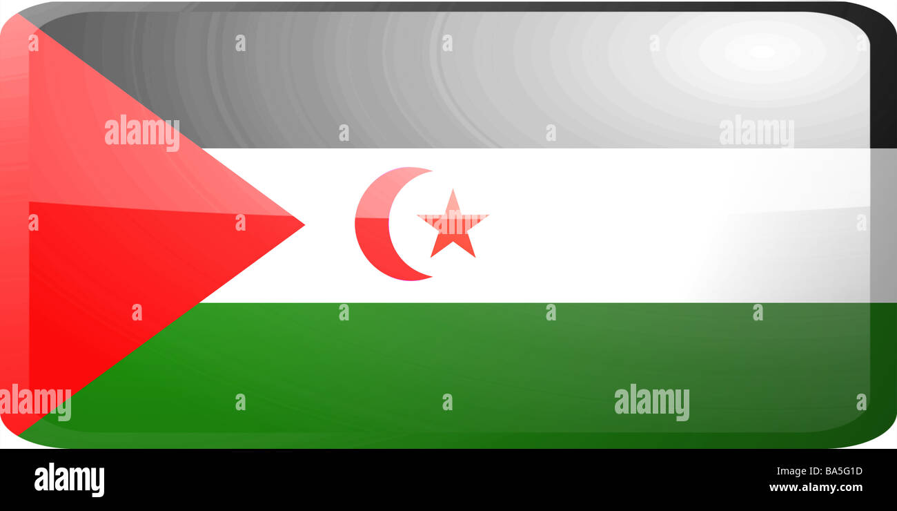 Flag of Western Sahara national country symbol illustration glossy ...