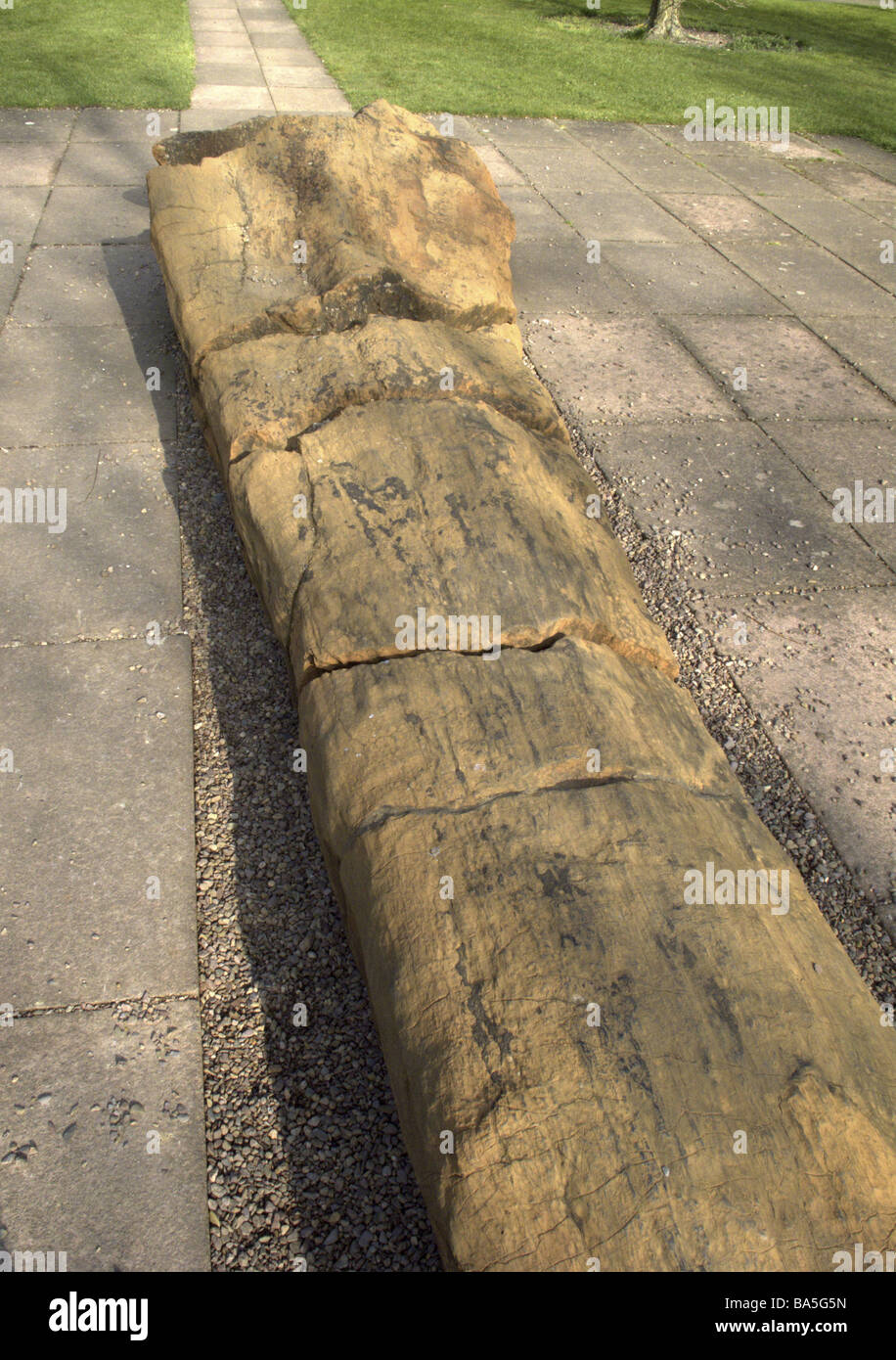 Fossil gardens hi-res stock photography and images - Alamy