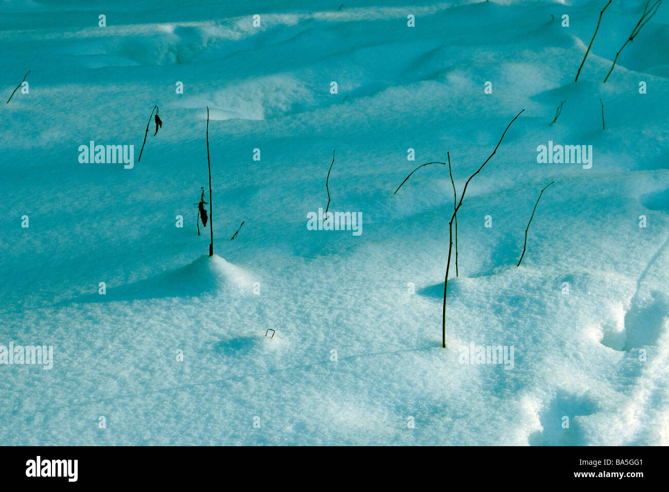 Light snow on ground hi-res stock photography and images - Alamy