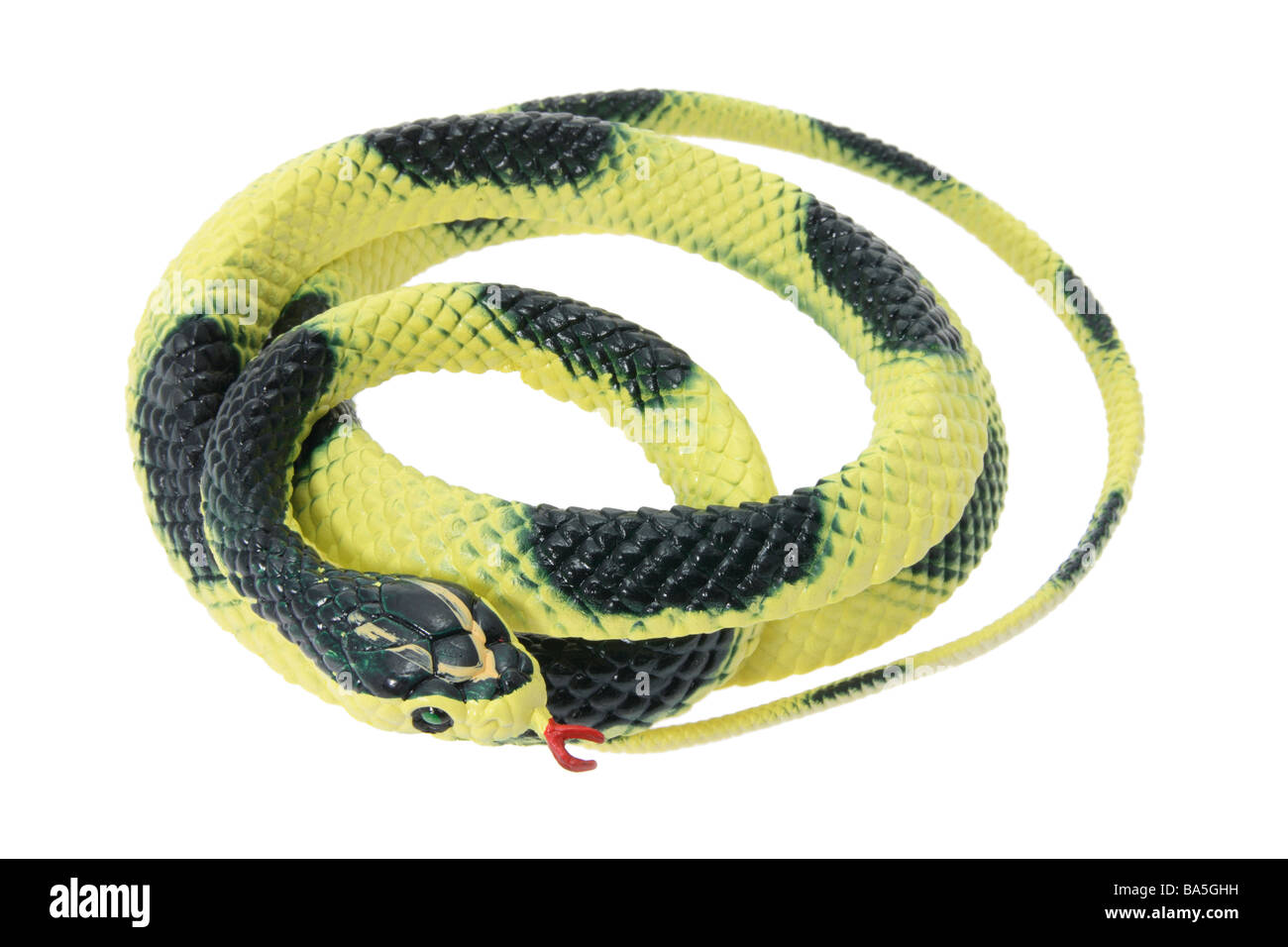 Rubber snake Cut Out Stock Images & Pictures - Alamy