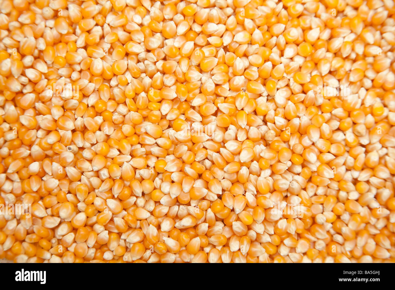 Uncooked seeds hi-res stock photography and images - Alamy