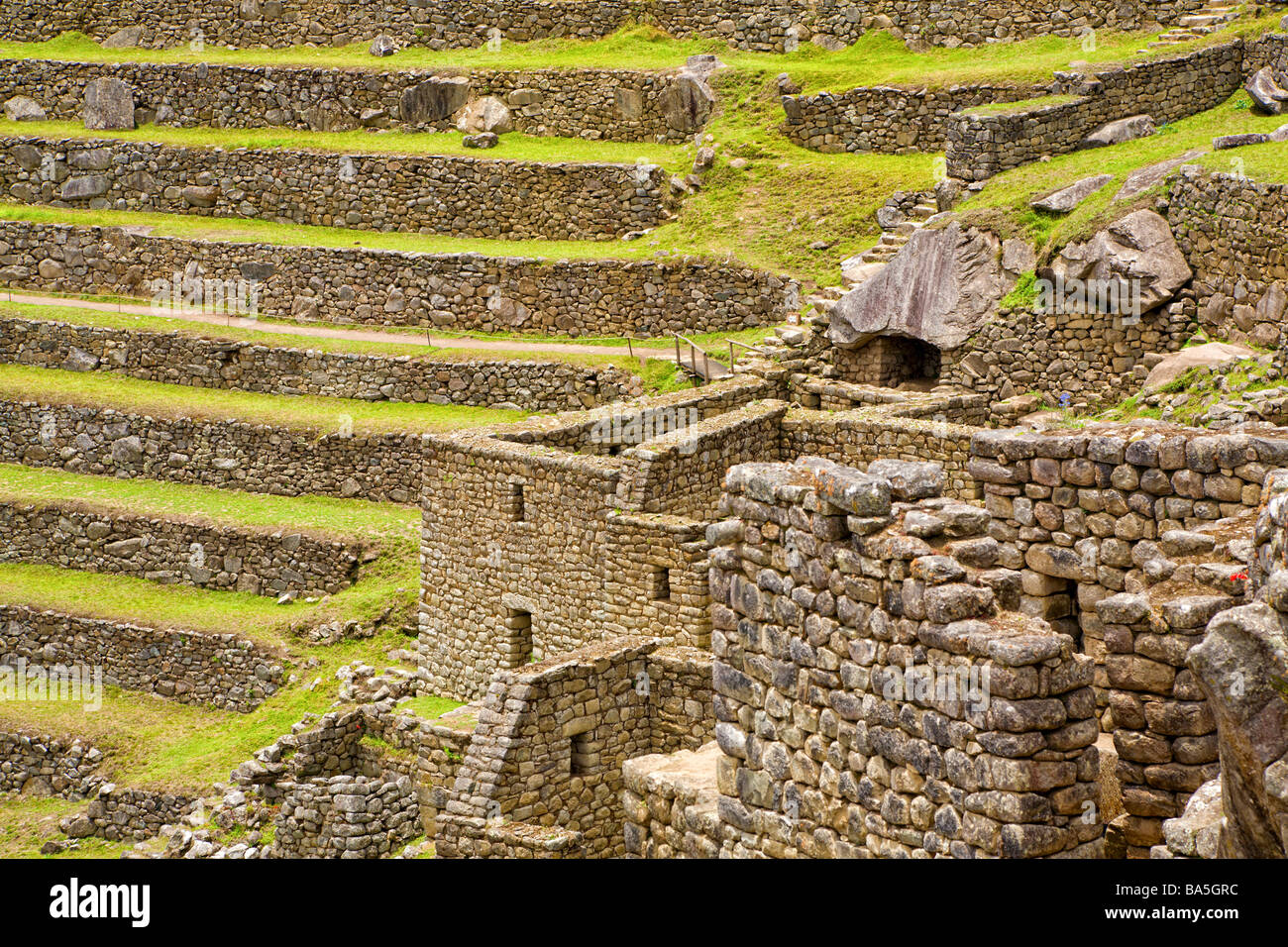 Terraces and ruins of ancient Inca city at Machu Picchu Stock Photo - Alamy