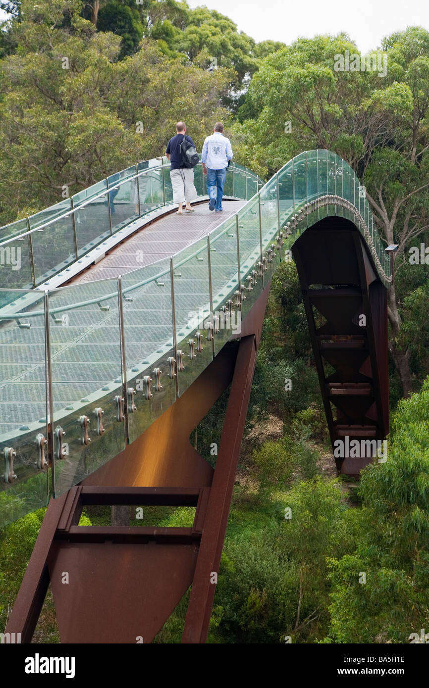 Visitors walk above the treetops on the Federation Walkway in Kings ...